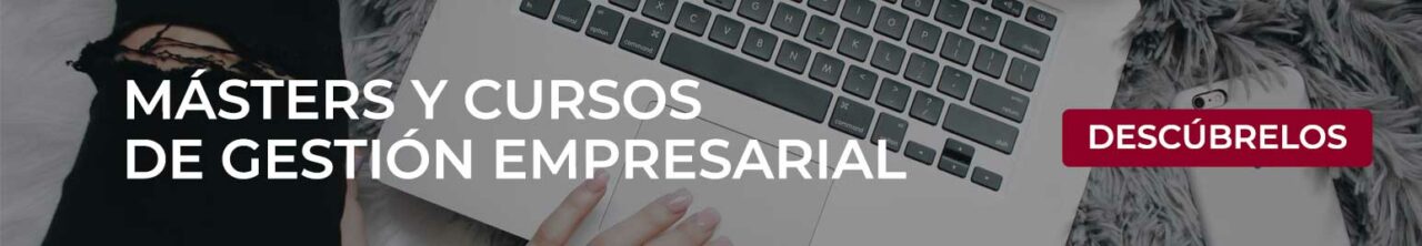 Director Comercial o CCO: Funciones y Competencias del puesto