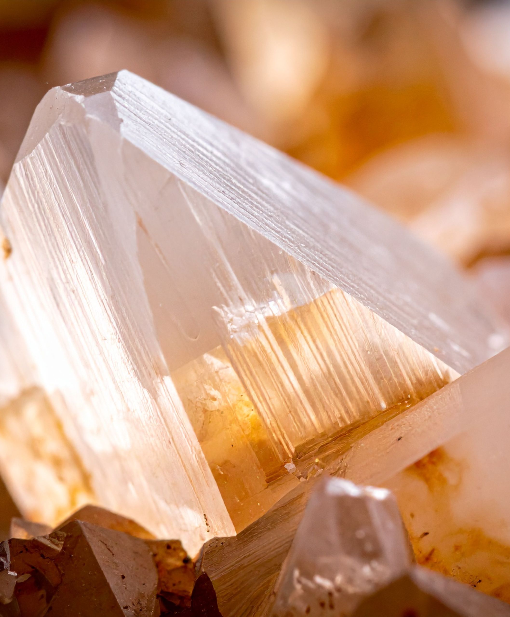 Máster en Mineralogía Aplicada + Petrografía de Rocas Ígneas | Esneca